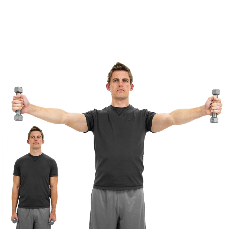 FREE WEIGHT BILATERAL SCAPTION Denver Physical Therapy at Home